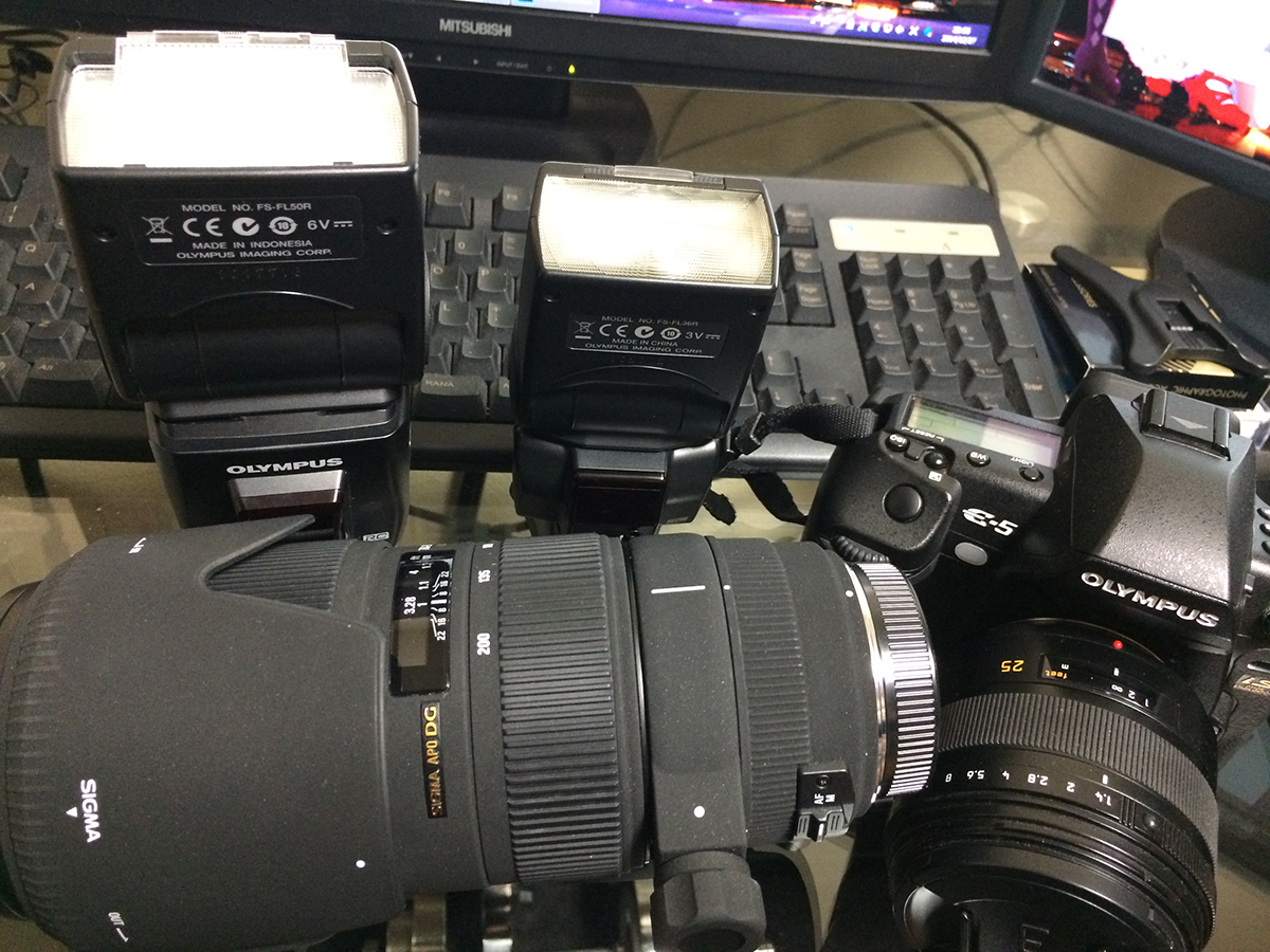 【Others】2014年の総括 | Wood-Roots:blog